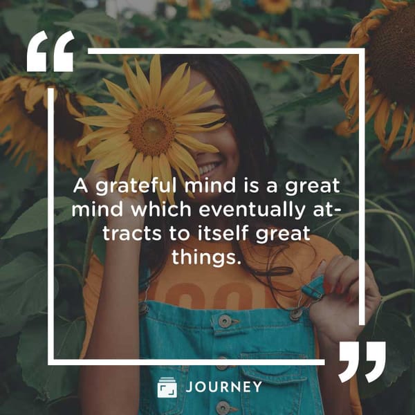 80 Simple Gratitude Quotes for Everyday Inspiration