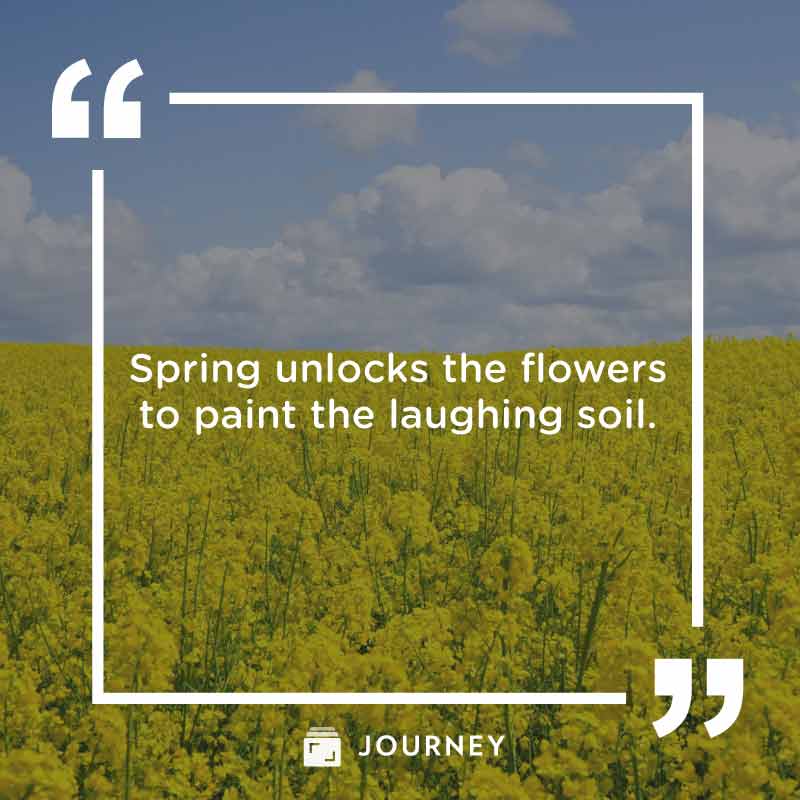 100 Inspiring March Quotes to Welcome the Blossoms of Spring